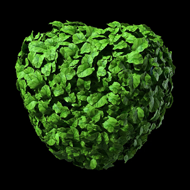 Spinach under new management as founders step aside | Spinach Advertising Spinach under new management as founders step aside | Spinach Advertising